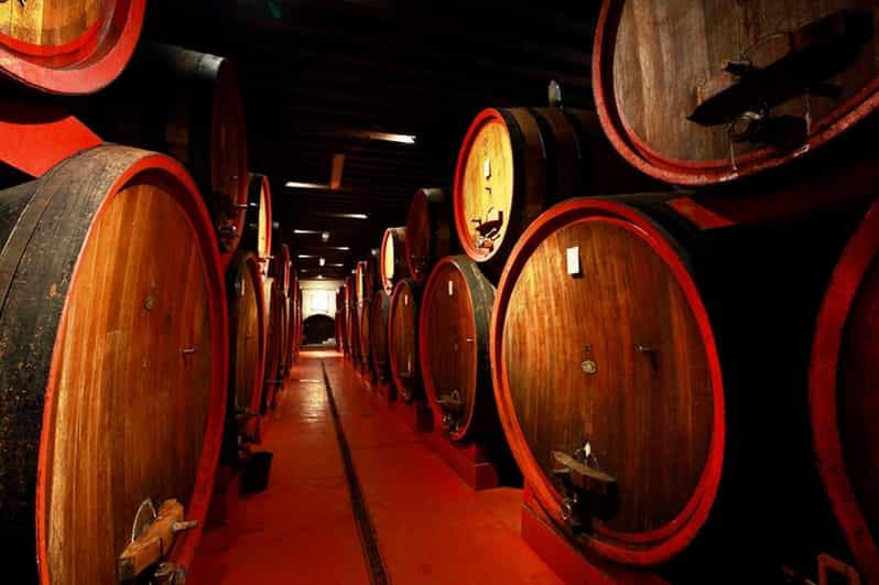 From Jesolo: Treviso, Roncade Castle w/wine tasting day trip | GetYourGuide
