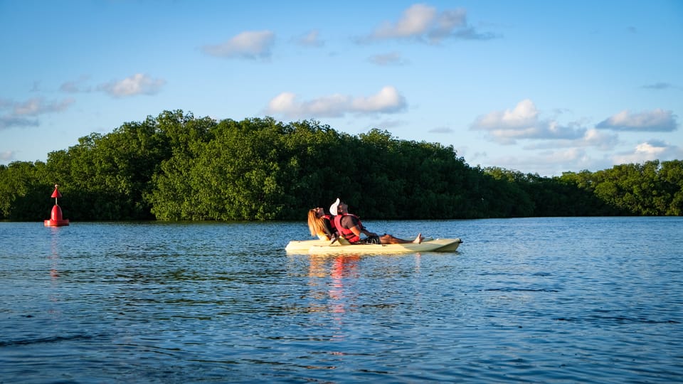 Cancun: Explore in a Kayak Guided Tour | GetYourGuide
