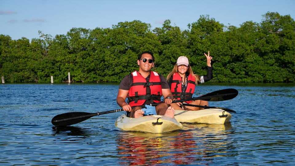 Cancun: Explore in a Kayak Guided Tour | GetYourGuide