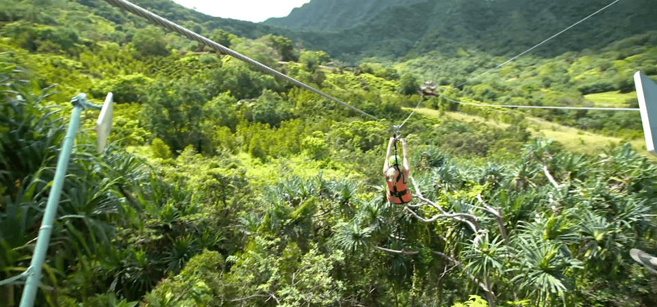 Oahu: Kualoa Jurassic Valley Zipline Tour | GetYourGuide