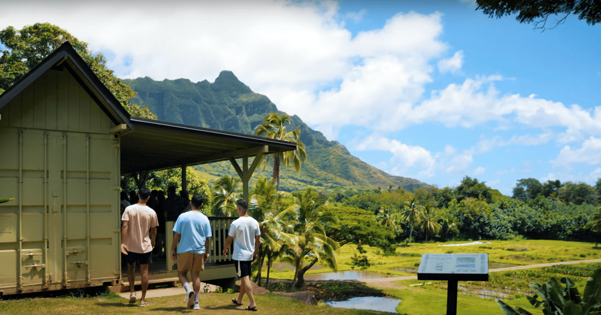 Oahu: Kualoa Farm and Secret Island Tour by Trolley | GetYourGuide