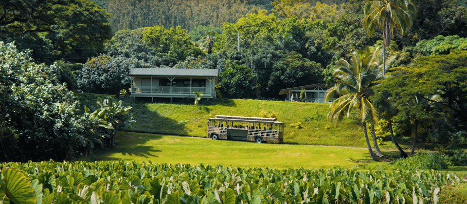 Oahu: Kualoa Farm and Secret Island Tour by Trolley | GetYourGuide