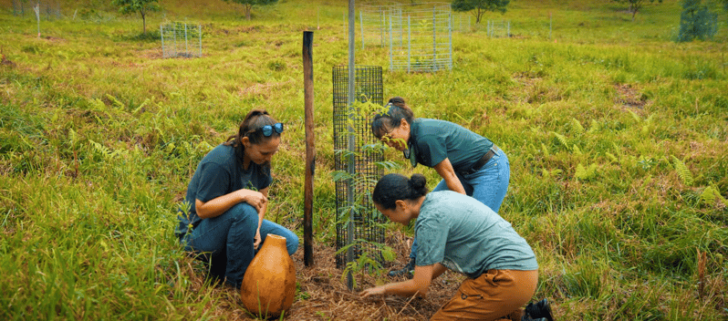 Oahu: Kualoa Ranch Malama Sustainability and Gardening Tour | GetYourGuide