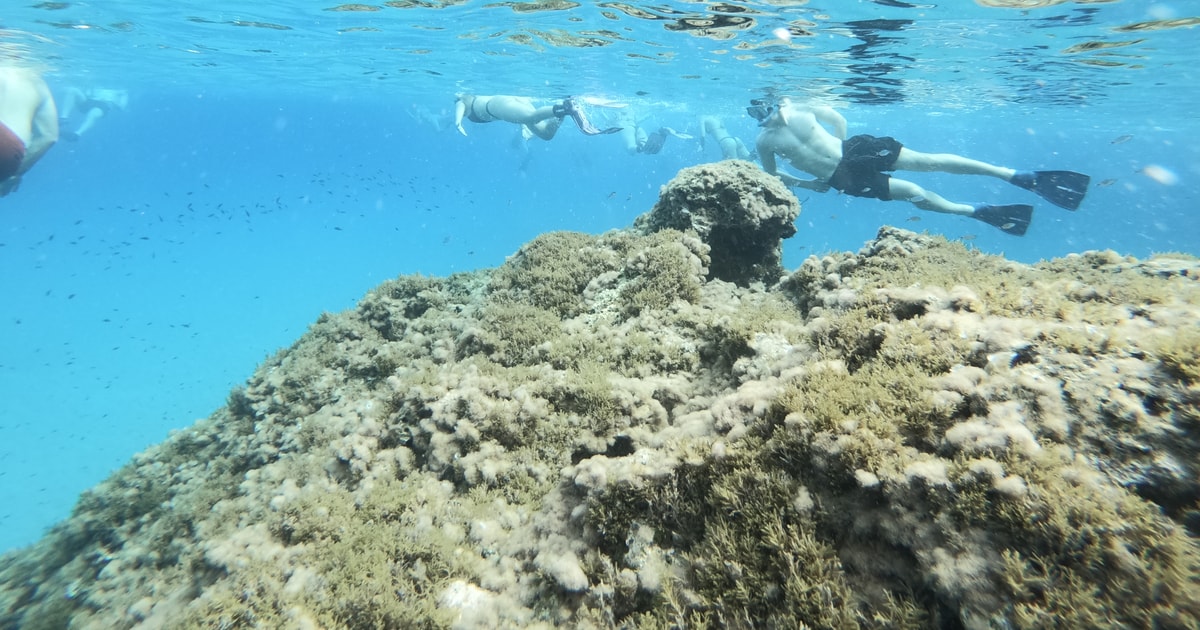 Malta: Snorkeling Tour around the Maltese Islands | GetYourGuide
