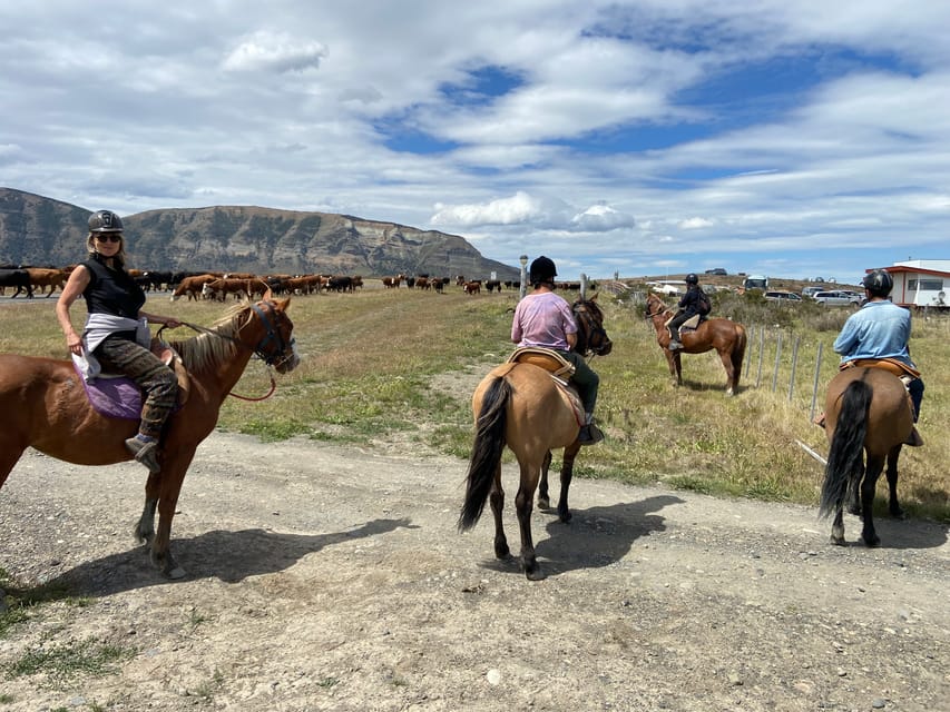Puerto Natales: Horseback Riding for Experienced Riders | GetYourGuide