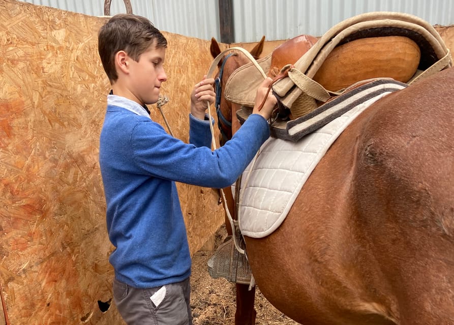 Puerto Natales: Horseback Riding for Experienced Riders | GetYourGuide