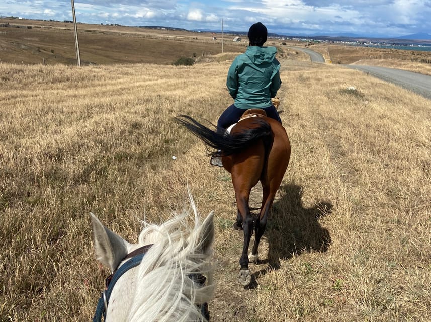 Puerto Natales: Horseback Riding for Experienced Riders | GetYourGuide