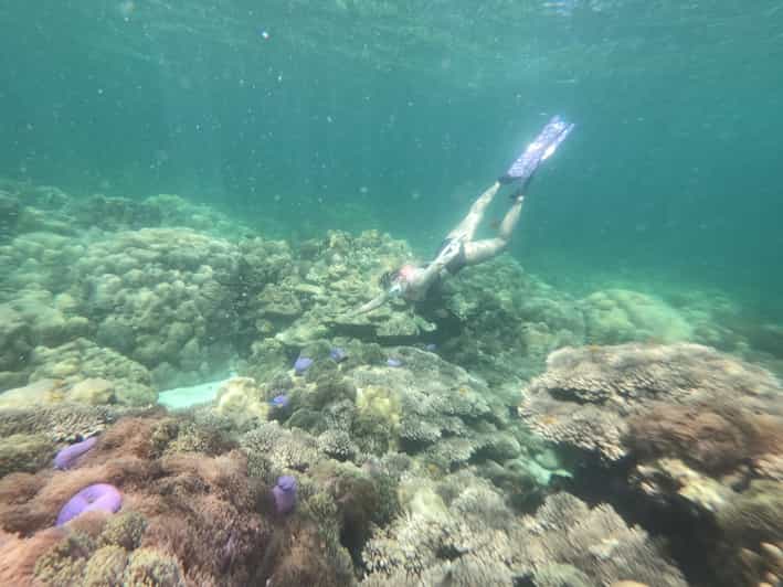Koh Lipe: Outer Islands Snorkeling Trip by Longtail Boat | GetYourGuide