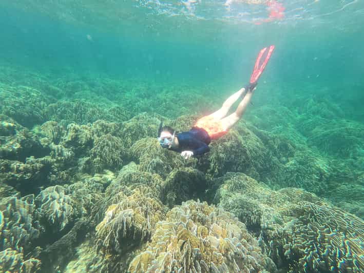 Koh Lipe: Outer Islands Snorkeling Trip by Longtail Boat | GetYourGuide
