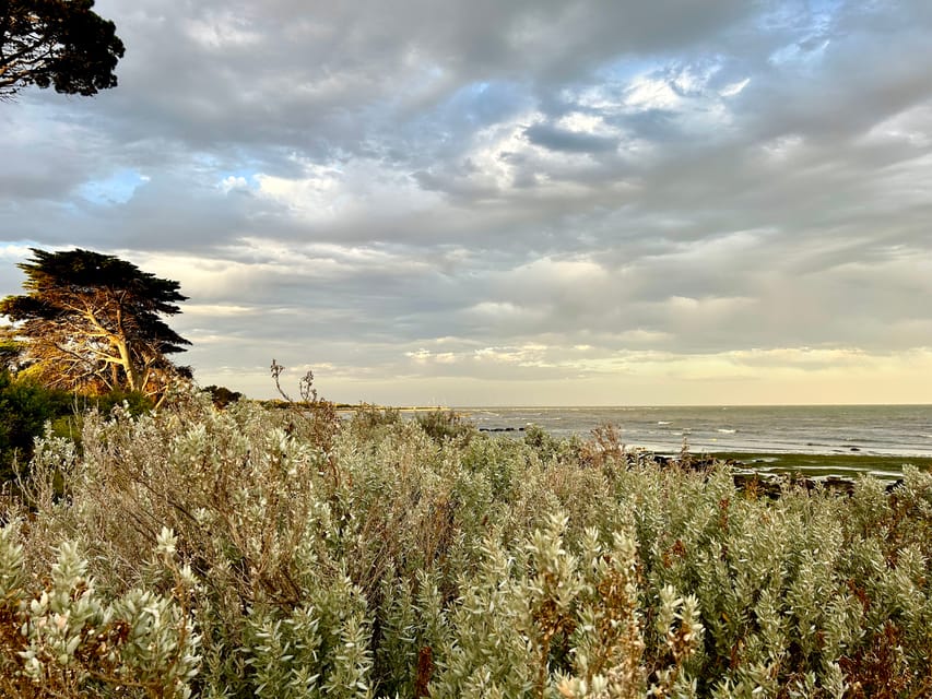 Melbourne: Point Cook Homestead Ghost Tour | GetYourGuide