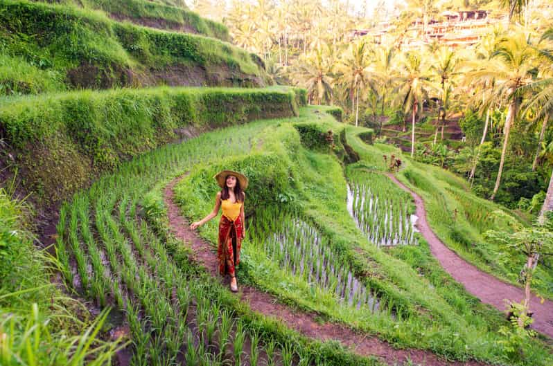 Bali: Aloha Ubud Swing with Optional Day Trip and Activities | GetYourGuide