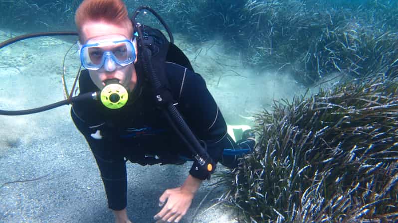 Kos: Scuba Diving Now!!! | GetYourGuide