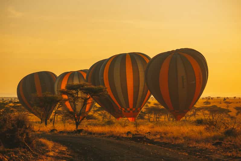 Serengeti: Balloon Safari and Bush Breakfast | GetYourGuide