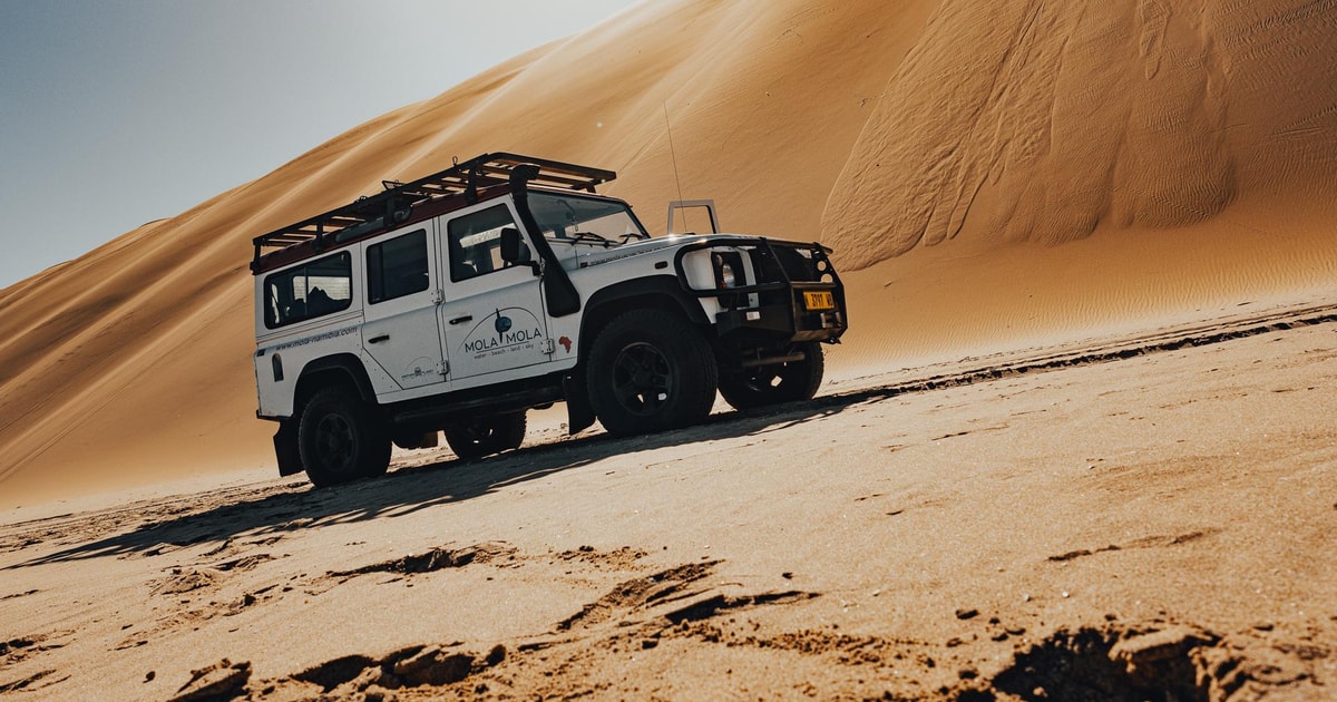 Walvisbaai: dolfijncruise, Pink Lakes en 4x4 Dune Drive | GetYourGuide