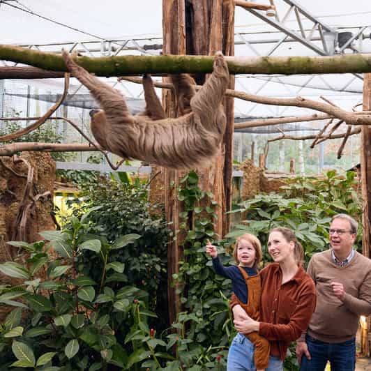 Overloon: ZooParc Entrance Ticket | GetYourGuide