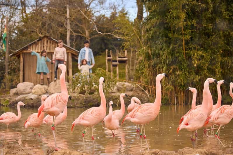 Overloon: ZooParc Entrance Ticket | GetYourGuide