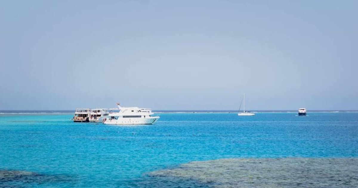From Safaga Port : Red Sea Submarine | GetYourGuide