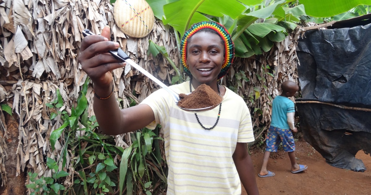 Arusha: Materuni Waterfall and Coffee Tour with Packed Lunch | GetYourGuide