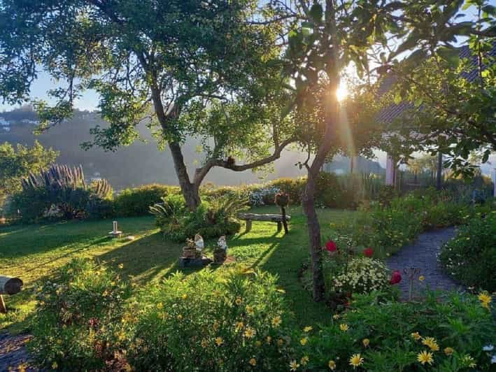 From Funchal: Santa Cruz Guided Day Trip with Wine & Cheese | GetYourGuide