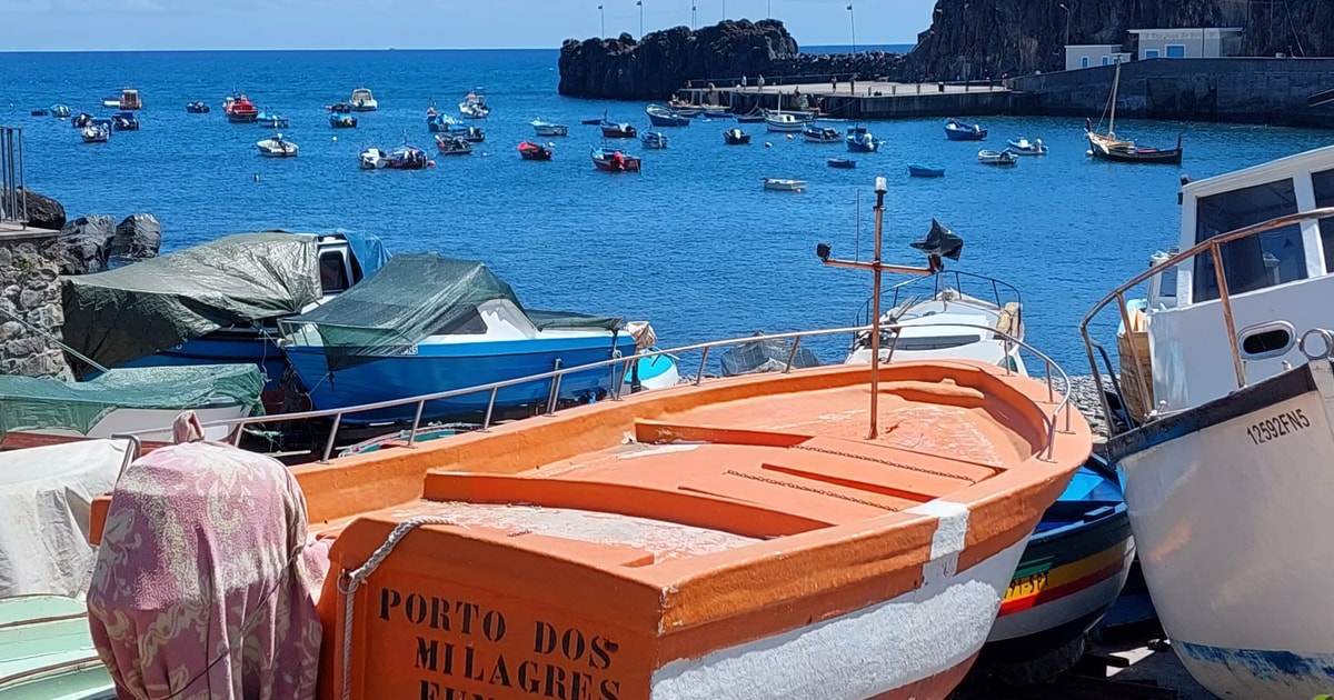 From Funchal: Eucalyptus Forest Guided 4x4 Tour | GetYourGuide