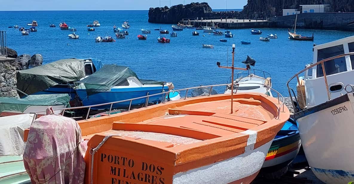 From Funchal: Eucalyptus Forest Guided 4x4 Tour | GetYourGuide