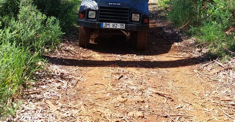 From Funchal: Eucalyptus Forest Guided 4x4 Tour | GetYourGuide