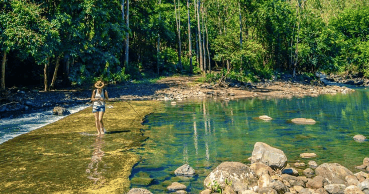 Mauritius: escursione guidata alle Black River Gorges con prelievo dall ...
