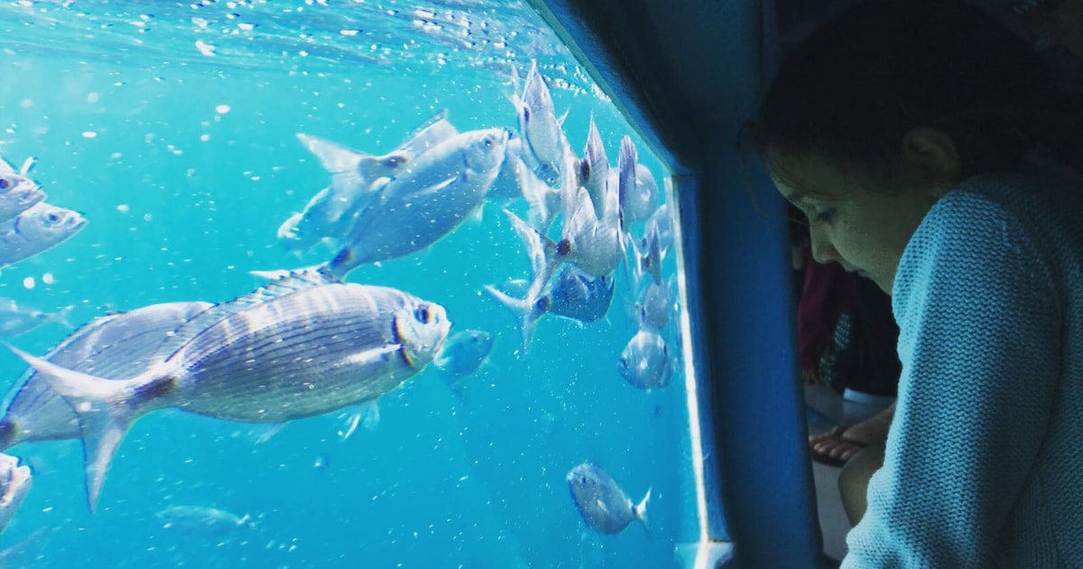 Roses: Crociera a Cala Murtra con vista sottomarina | GetYourGuide