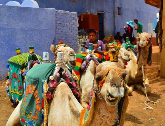 Aswan: Day Trip to Nubian Village with Camel Tour | GetYourGuide