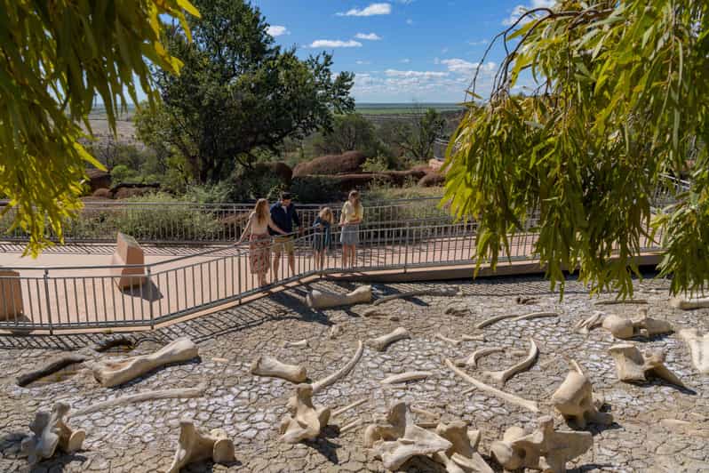 Winton: Dinosaur Canyon Experience Tour | GetYourGuide