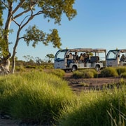 Winton: Dinosaur Canyon Experience Tour | GetYourGuide
