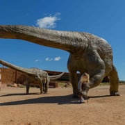 Winton: Dinosaur Canyon Experience Tour | GetYourGuide