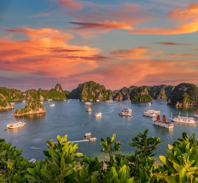 Hanoi: 2-dagars tur till Ninh Binh och Ha Long Bay med måltider ...