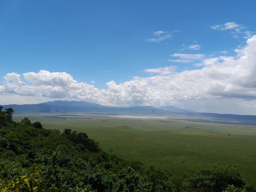 From Arusha: Day Trip to Ngorongoro Crater | GetYourGuide