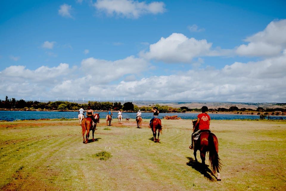 Oahu: North Shore Oceanfront Horseback Riding Tour | GetYourGuide