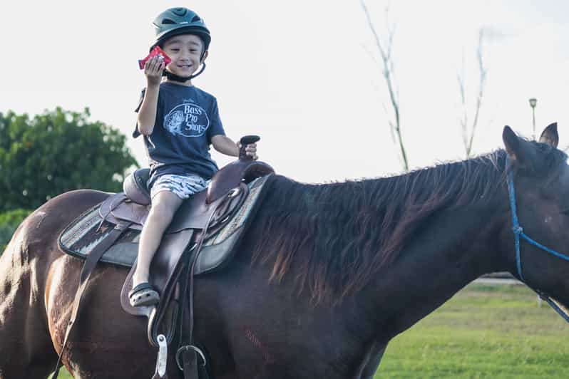 Oahu: North Shore Children's Pony Ride on Shoreline | GetYourGuide