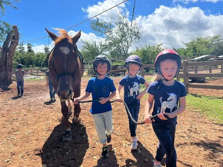 Oahu: North Shore Children's Pony Ride on Shoreline | GetYourGuide