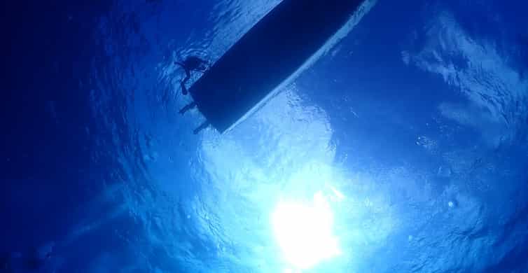 2 Tank-Morgen-Tauchgänge in Cozumel für zertifizierte Taucher ...