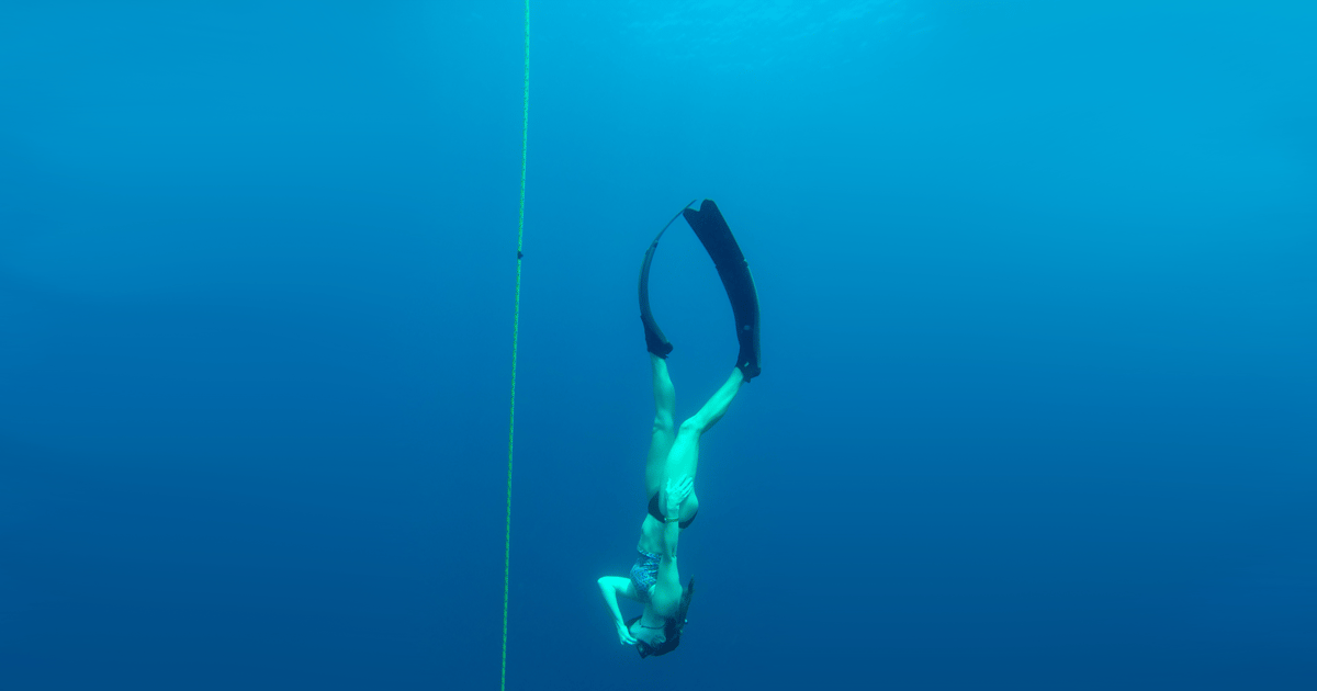 Tamarindo: Discover Freediving Experience for Beginners | GetYourGuide