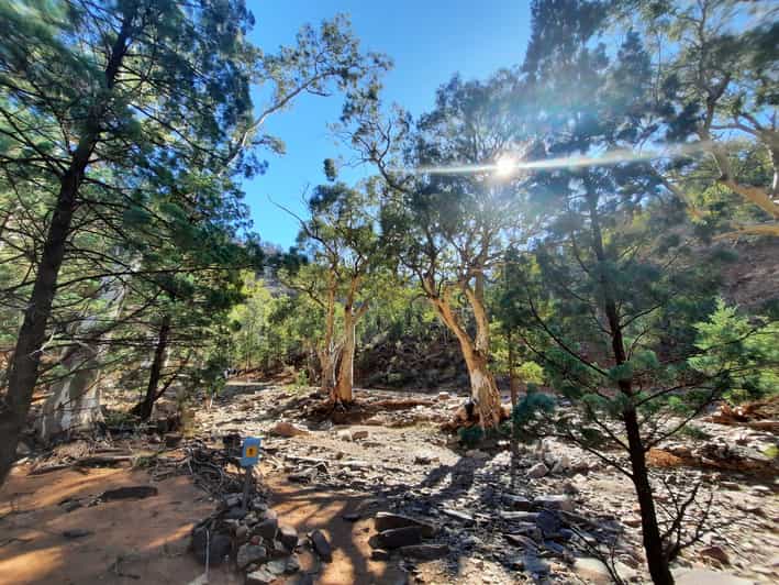 From Adelaide: 5-Day Ikara-Flinders Ranges Hiking Tour | GetYourGuide