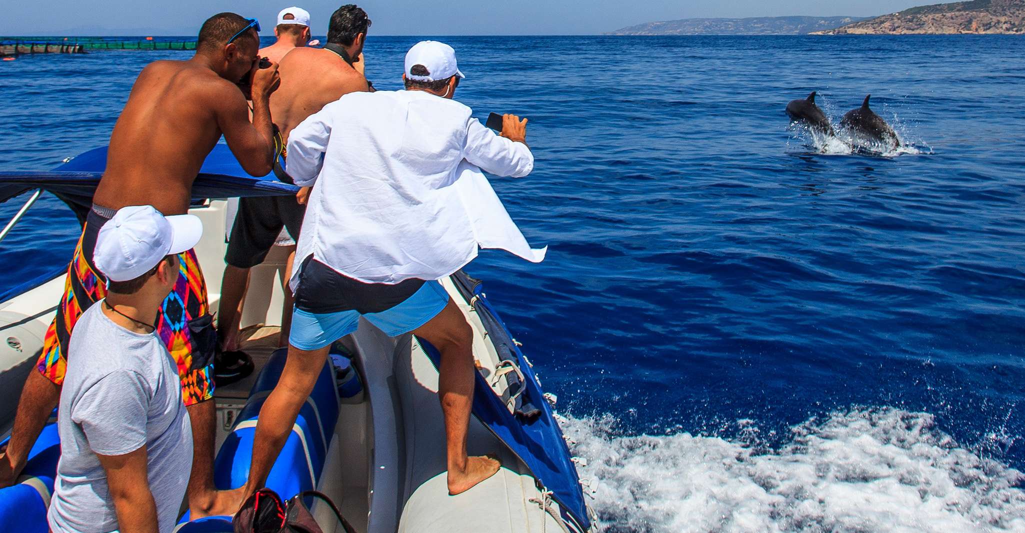 Kamiros Skala, Marine Life Experience by Boat | Water Activity in ...