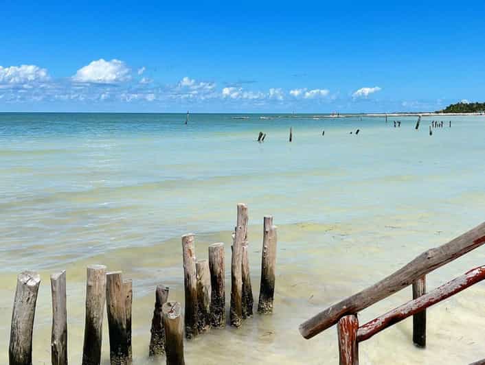 Z Cancúnu: Cancún: prohlídka ostrova Holbox a Punta Mosquito | GetYourGuide