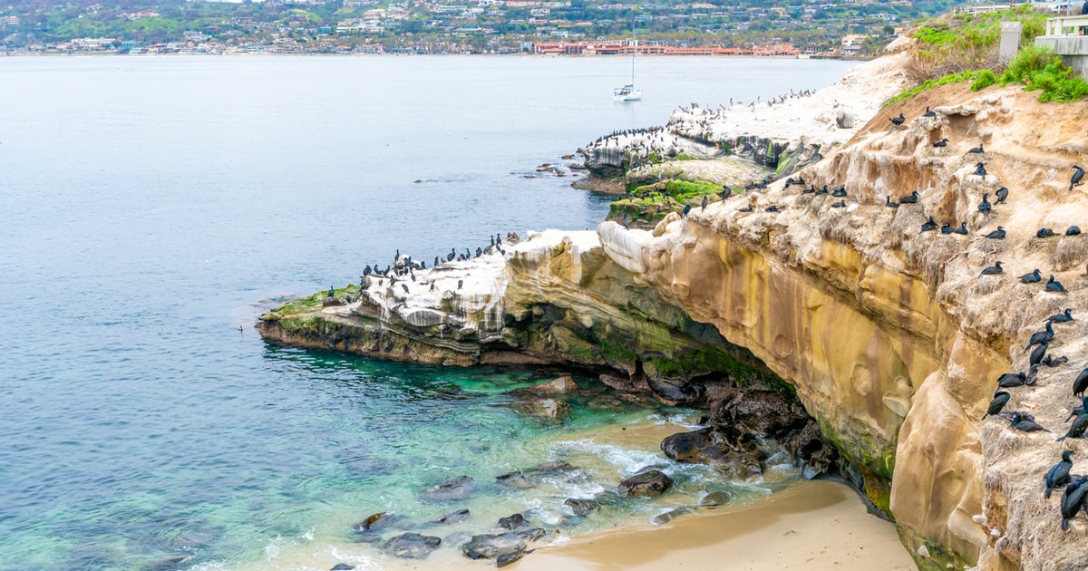 Lo mejor de La Jolla: tour a pie, degustación y mar | GetYourGuide