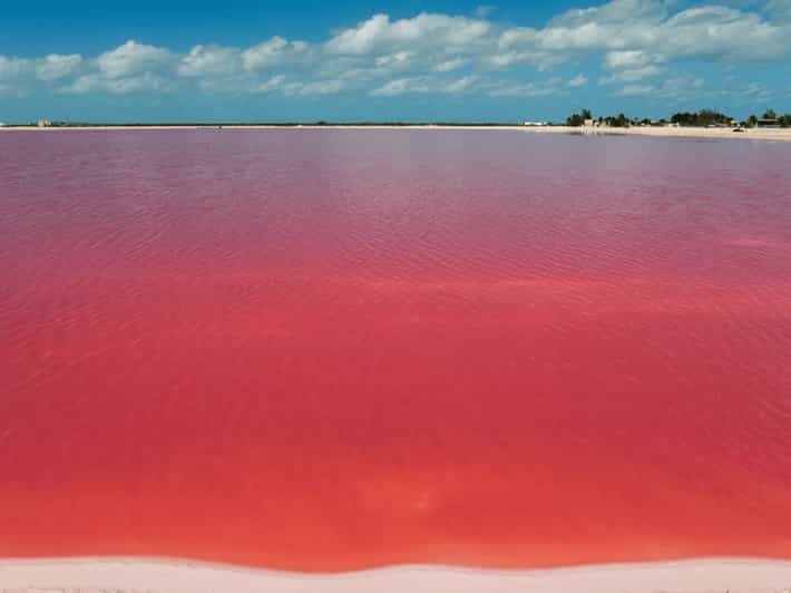 Pink Lake tour "Las Coloradas" and "Rio Lagartos" | GetYourGuide