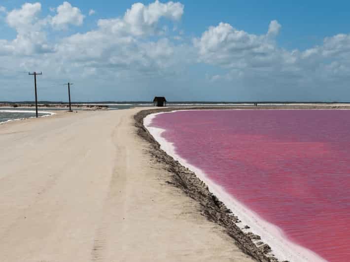 Pink Lake tour "Las Coloradas" and "Rio Lagartos" | GetYourGuide