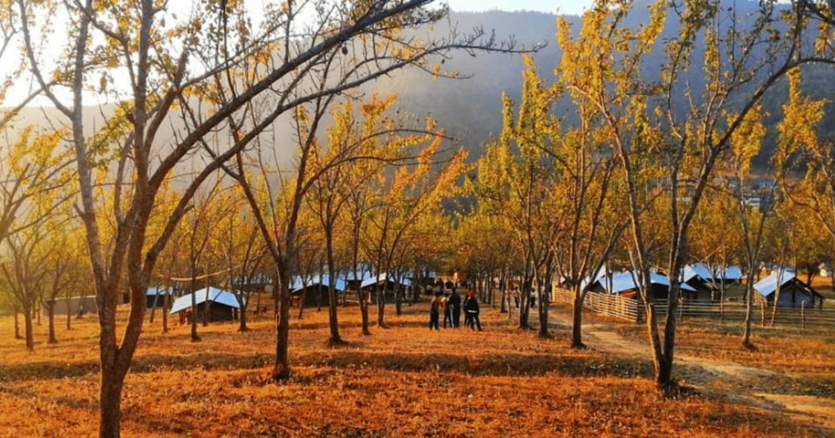 From Kathmandu: Chitlang, Kulekhani, and Markhu 2-Day Tour | GetYourGuide