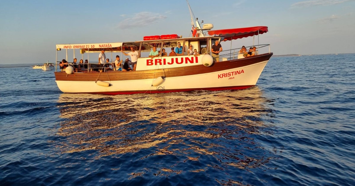 Fazana: Guided Dolphin Watching Sightseeing Cruise at Sunset | GetYourGuide