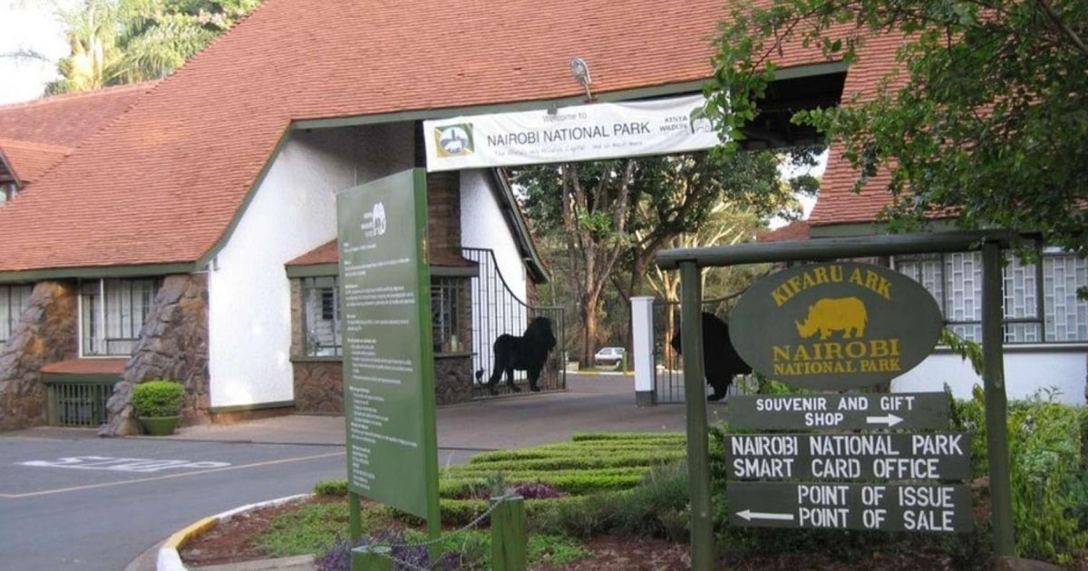 Nairobi National Park – Avontuur aan de rand van de stad Gratis ...