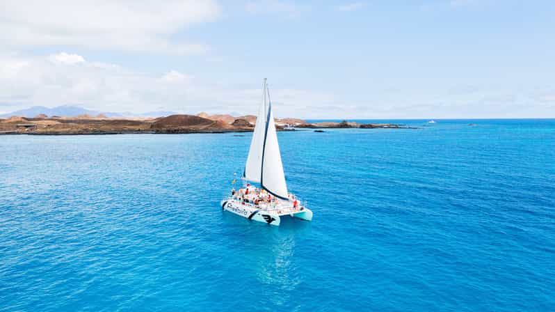 Insula Lobos: Excursie cu catamaranul de 4 ore cu prânz | GetYourGuide