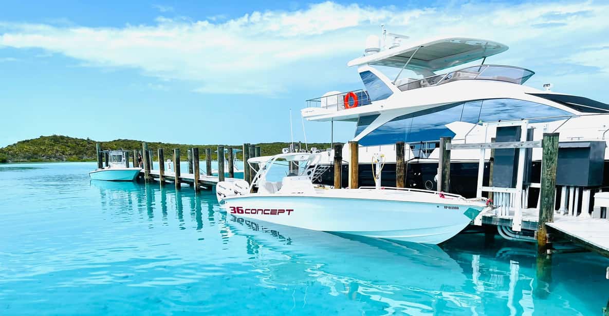 Rose Island 3 island tour,🚤Snorkelling,🐠Turtles,🐢 Pigs 🐖 | GetYourGuide